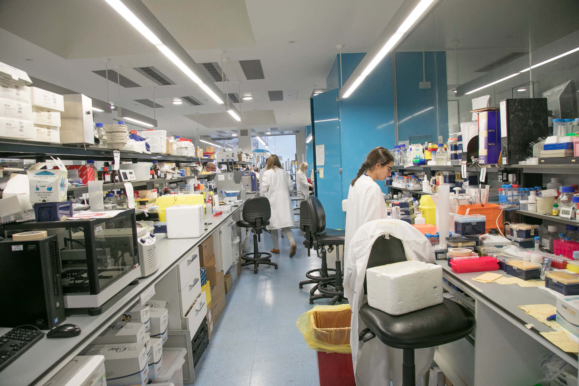 application forms - CICRA