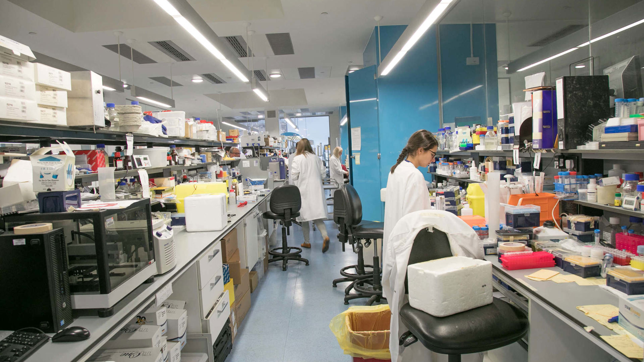 application forms - CICRA